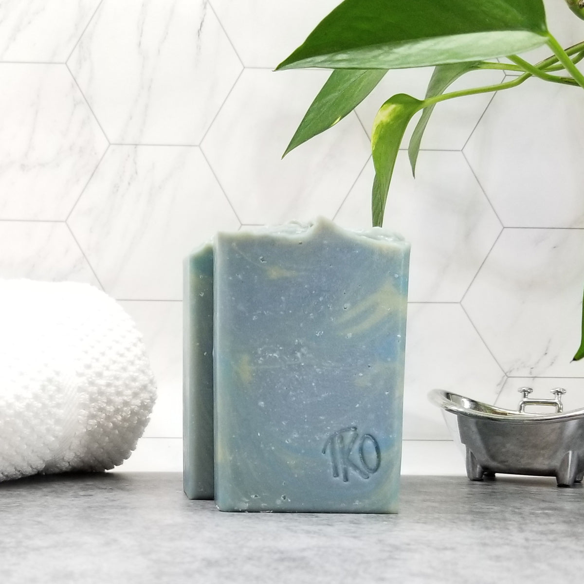 Cactus & Sea Salt Bar Soap – TKO Soaps